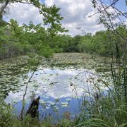 SHELDON LAKE STATE PARK AND ENVIRONMENTAL LEARNING CENTER - 238 Photos ...
