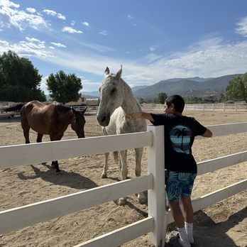 OLD TOWN RANCH - Updated October 2025 - 24 Photos - 43550 Dash For Cash ...