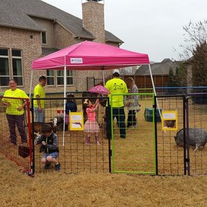 FUNKY MONKEY RANCH - Updated July 2025 - 52 Photos - 4965 Oak Grove ...