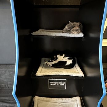 THE CATCADE - Updated October 2024 - 285 Photos & 122 Reviews - 624 W ...