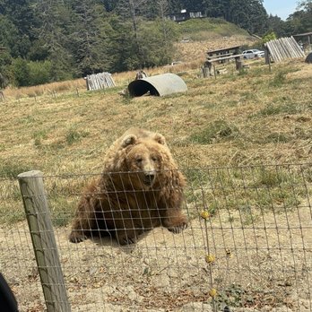 OLYMPIC GAME FARM - Updated January 2026 - 898 Photos & 394 Reviews ...