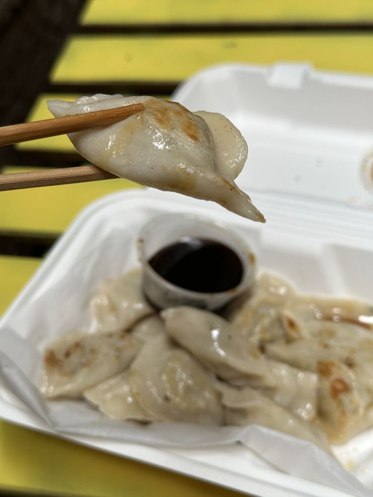 LANEWAY DUMPLINGS & MOMO - Updated June 2024 - 21 Photos - Temperance ...