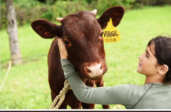 DEVON POINT FARM - Updated December 2025 - 38 Photos & 11 Reviews - 54 ...