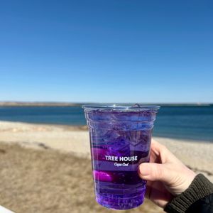 TREE HOUSE BREWING - 125 Photos & 57 Reviews - 98 Town Neck Rd ...