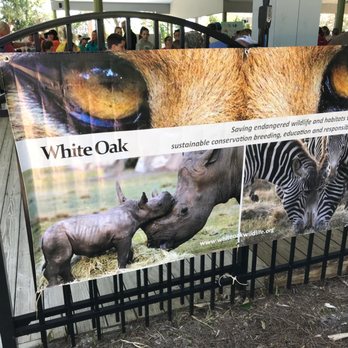 WHITE OAK - Updated September 2025 - 76 Photos & 11 Reviews - 581705 ...