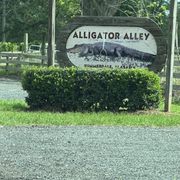 ALLIGATOR ALLEY - 416 Photos & 137 Reviews - 19950 County Road 71 ...