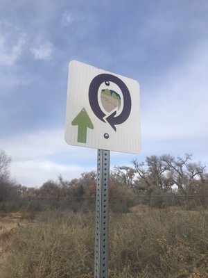 PASEO DEL BOSQUE TRAIL - Updated November 2024 - 117 Photos & 27 ...