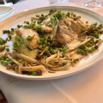 PARIGI RESTAURANT - 534 Photos & 318 Reviews - 3311 Oak Lawn Ave ...