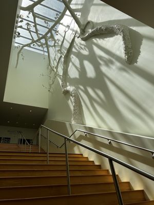 LA COUNTY LIBRARY - WEST HOLLYWOOD LIBRARY - Updated January 2026 - 182 ...