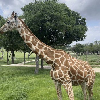 FOSSIL RIM WILDLIFE CENTER - Updated December 2024 - 1278 Photos & 367 ...