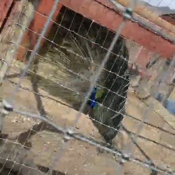 ANDELIN FAMILY FARM - TEMP. CLOSED - Updated March 2025 - 527 Photos ...