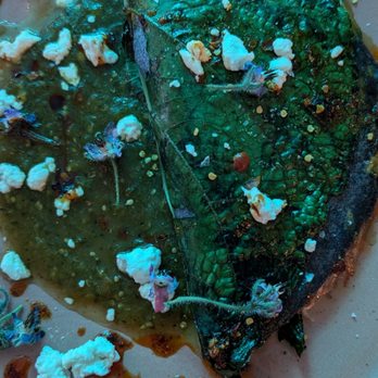 CHILTE - Updated November 2024 - 361 Photos & 131 Reviews - 765 Grand ...