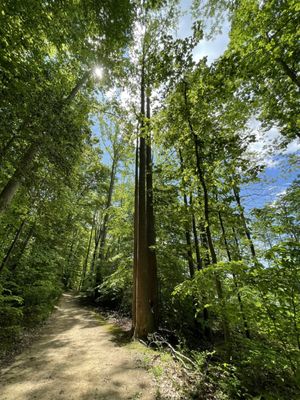 GILBERT RUN RECREATIONAL PARK - Updated January 2026 - 29 Photos ...