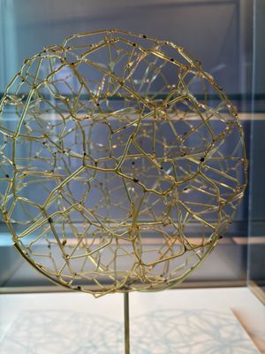 APPALOOSA LIBRARY - Updated November 2025 - 132 Photos & 40 Reviews ...