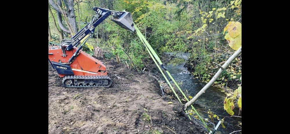 360 TREE SERVICE & CLEAN UP - Updated July 2025 - 33 Photos - Grand ...