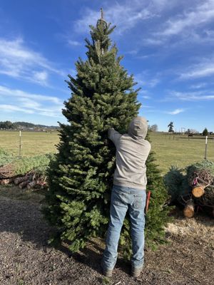 FURROW FARM - TEMP. CLOSED - Updated January 2026 - 80 Photos & 55 ...