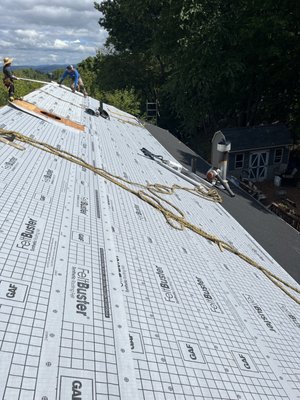 NEXT LEVEL ROOFING AND SIDING - Updated July 2025 - Request a Quote ...