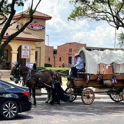 THE 10 BEST Things to Do in Walnut Springs, TX - 2025 - Yelp