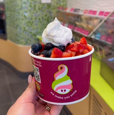 MENCHIE’S FROZEN YOGURT - Updated August 2025 - 24 Photos & 12 Reviews - 3149 W Quintale Dr ...