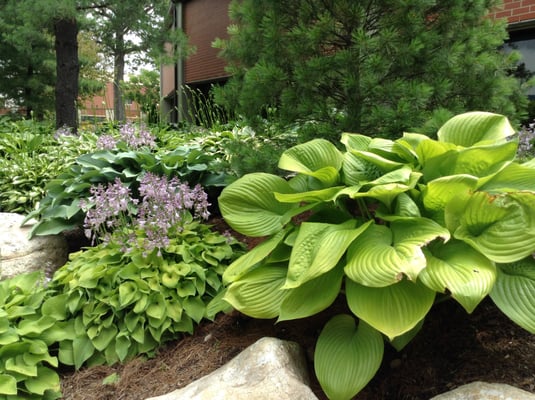 WATCHTOWER FARMS - Updated December 2025 - 24 Photos - 900 Red Mills Rd ...