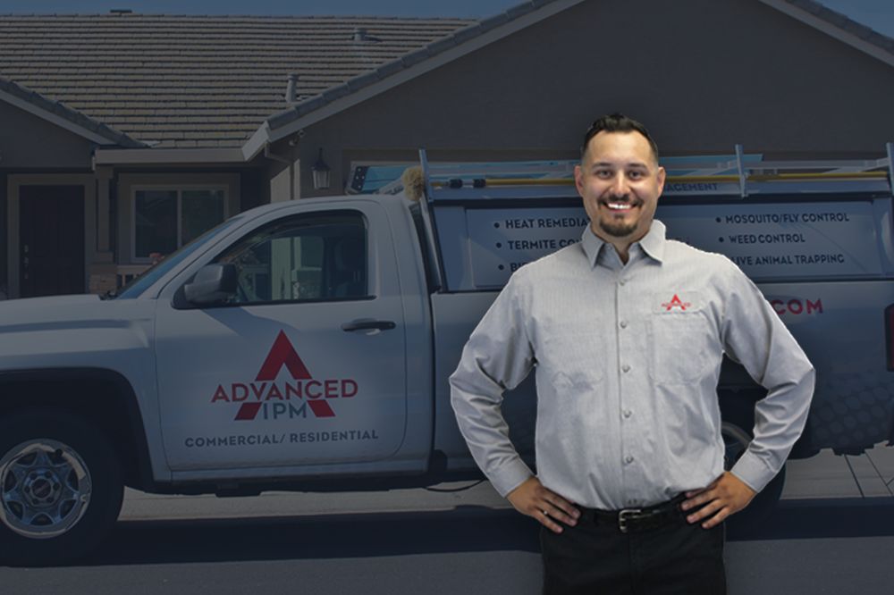 ADVANCED IPM - Updated November 2025 - 15 Photos & 34 Reviews - 4970 ...