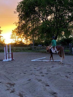 FREE SPIRIT FARM - Updated January 2026 - 8957 Austin Rd, Saline ...