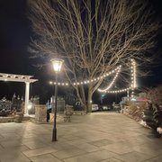 VYNE RESTAURANT & BAR - 482 Photos & 119 Reviews - American ...