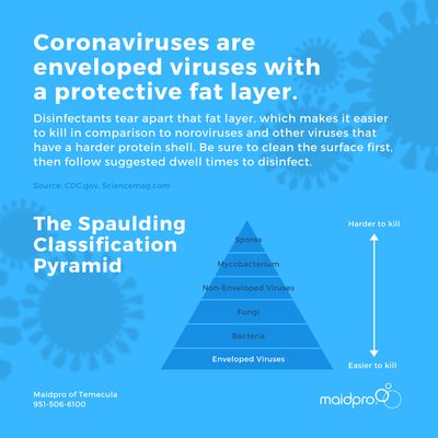 MAIDPRO TEMECULA - Updated December 2025 - 117 Photos & 106 Reviews ...