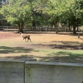 Noah’s Ark Animal Sanctuary - 171 Photos & 49 Reviews - Animal Shelters ...