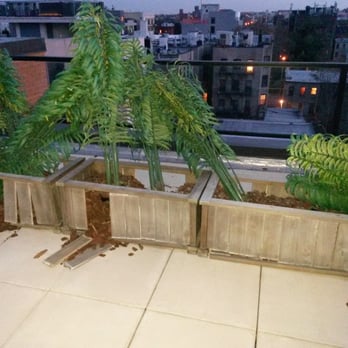 PALLADIUM MANAGEMENT - Updated December 2025 - 62 W 45th St, Manhattan ...