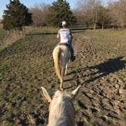 RIVER RANCH TEXAS HORSE PARK - 60 Photos & 21 Reviews - 811 Pemberton ...