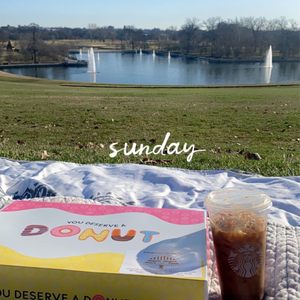PHARAOH’S DONUTS - 32 Photos & 29 Reviews - 8 Maryland Plz, Saint Louis ...