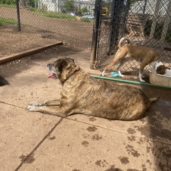 CONESTEE PARK - Updated December 2025 - 24 Photos & 15 Reviews - 840 ...