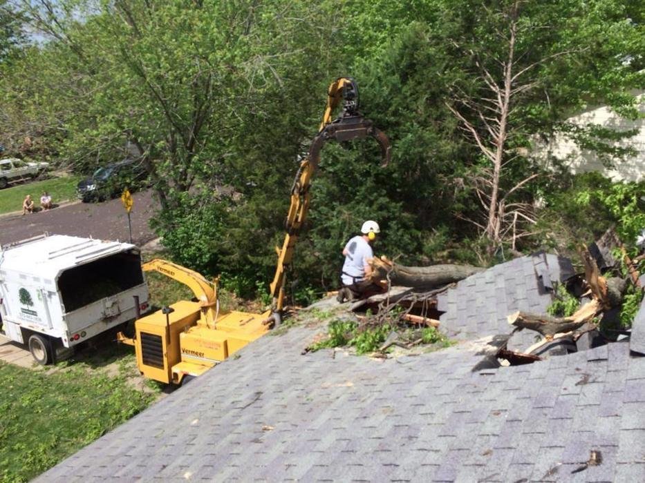 TREE WIZARD - Updated August 2025 - 19 Photos - 1489 Old US Hwy 40 ...