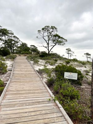 AUDUBON BIRD SANCTUARY - Updated December 2025 - 192 Photos & 25 ...