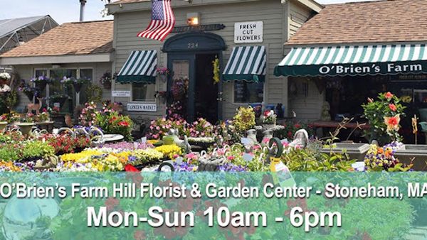 O’BRIEN’S FARM HILL FLORIST & GARDEN CENTER - Updated March 2026 - 30 ...
