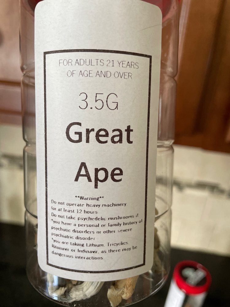 SPORES - Updated December 2025 - 15 Photos - 14114 Telegraph Rd ...