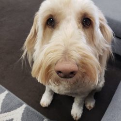 LAW OFFICES OF MATTHEW T FOLEY, PLC - 14 Reviews - Bankruptcy Law ...