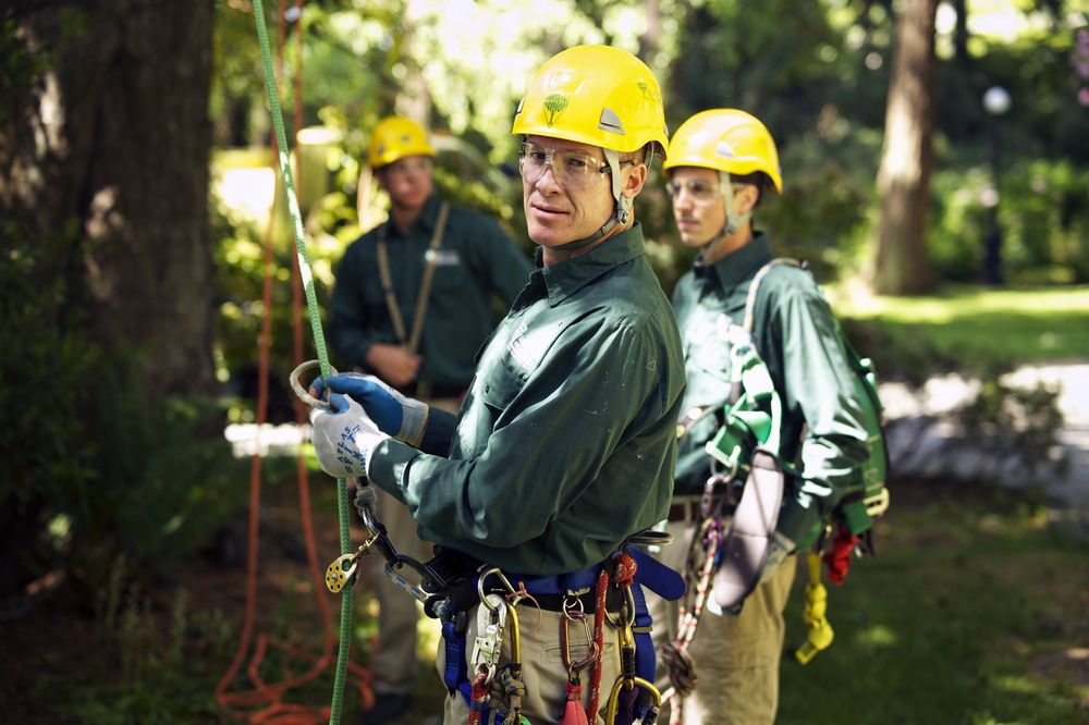 BARTLETT TREE EXPERTS - Updated January 2025 - Request a Quote - 11427 ...