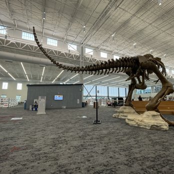 FRISCO PUBLIC LIBRARY - Updated October 2025 - 222 Photos & 106 Reviews ...