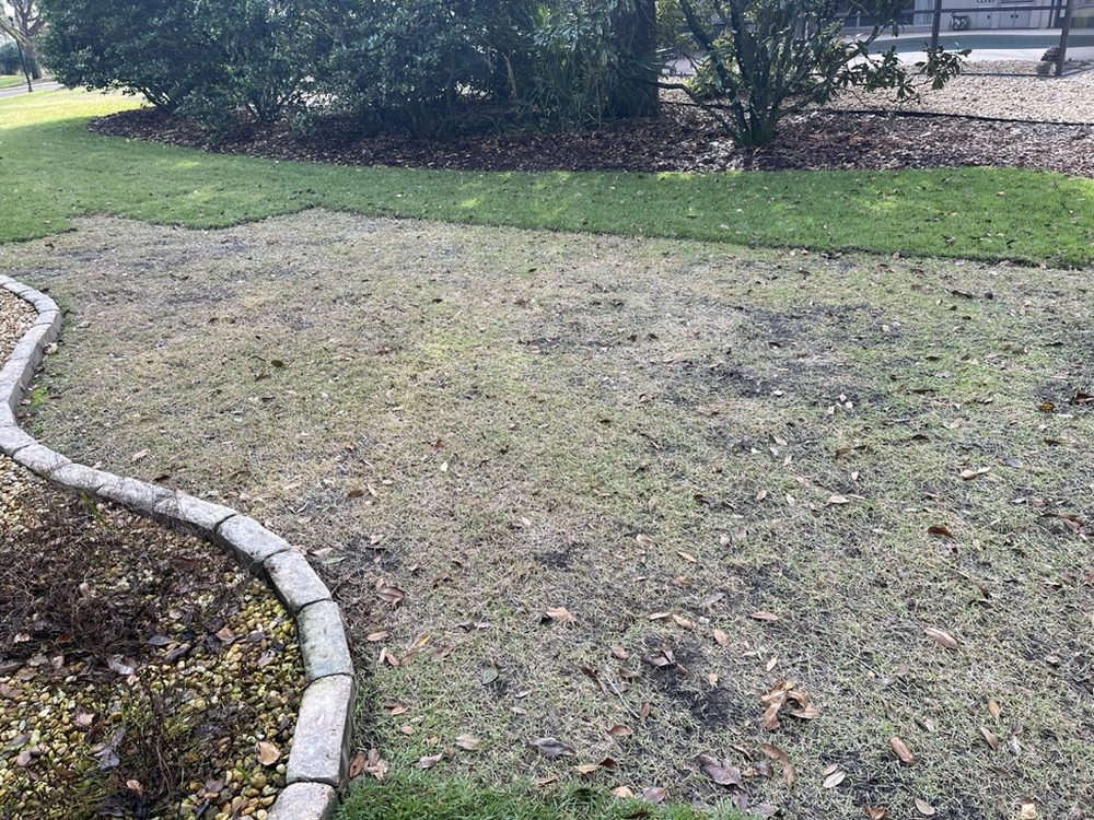 VERDEGO LANDSCAPE - Updated June 2025 - 3335 N State St, Bunnell ...