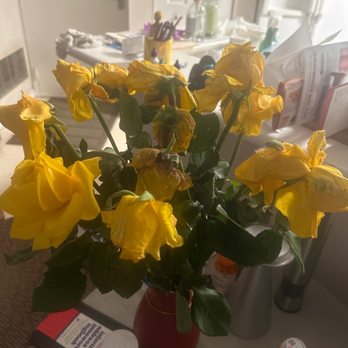 THE FRESH MARKET - Updated April 2025 - 280 Photos & 181 Reviews - 1800 ...