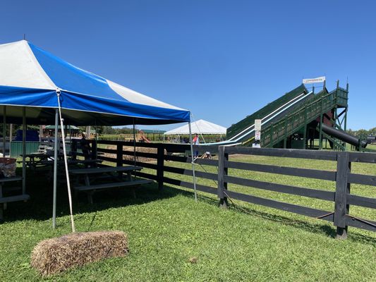 ECKERT’S ORCHARD - Updated September 2025 - 135 Photos & 64 Reviews ...