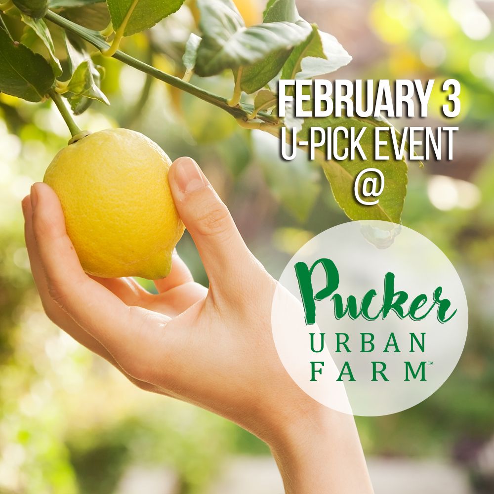 PUCKER URBAN FARM - OPEN FARM EXPERIENCE - Updated August 2025 - 13 ...