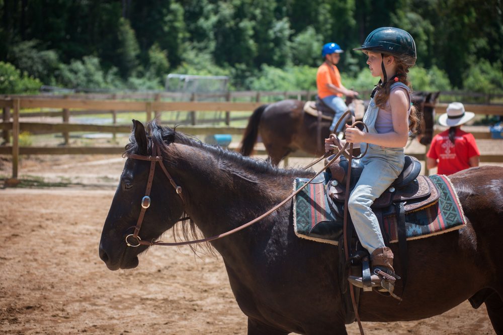 ANGELS GROVE RANCH - Updated March 2025 - 81270 Katie Ln, Bush ...