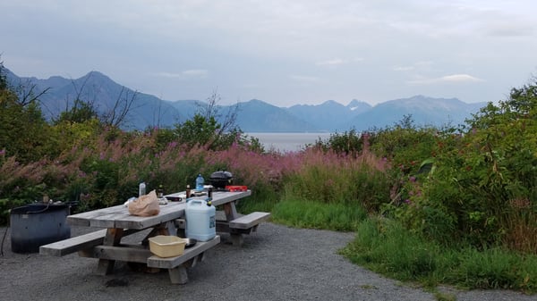 PORCUPINE CAMPGROUND CHUGACH NATIONAL FOREST - Updated February 2025 ...