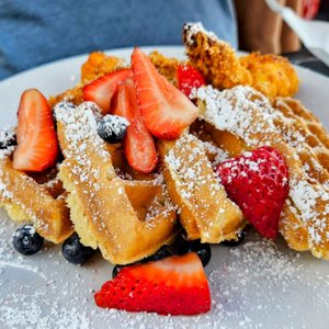 ZOOLOGICAL WILDLIFE FOUNDATION - Updated June 2024 - 866 Photos & 239 ...