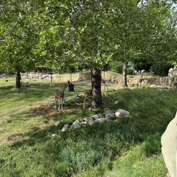 OMAHA’S HENRY DOORLY ZOO AND AQUARIUM - Updated April 2025 - 2658 ...