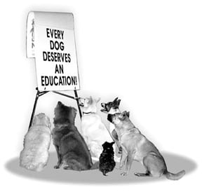 TAKE A PAWS DOG TRAINING - Updated September 2025 - 24 st leonards ct ...