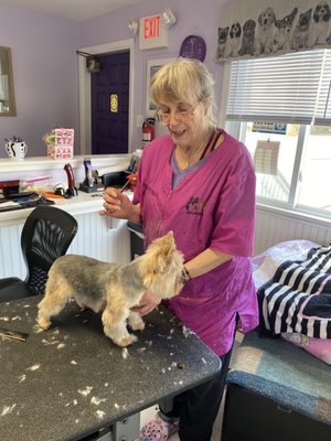 HEADS TO TAILS CRITTER GROOMING - Updated December 2025 - 100 Scheivert ...